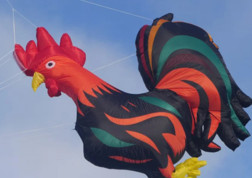 Rooster Kite giant kite wind kites Trilobite soft Kite flying kites for ...