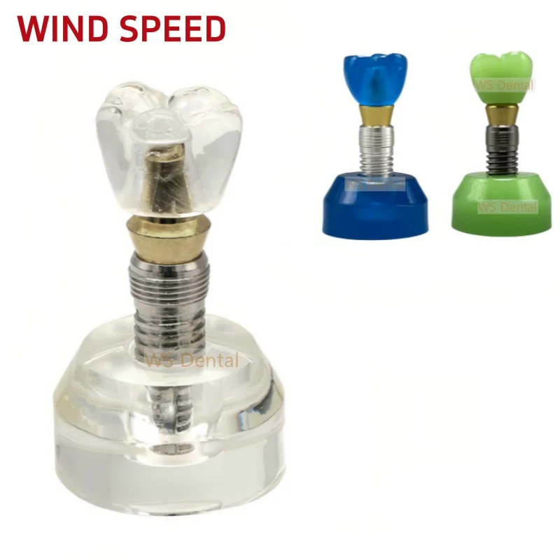 Dental-Implant-Model-Demonstration-Teeth-Study-Model-Crystal-Crown ...