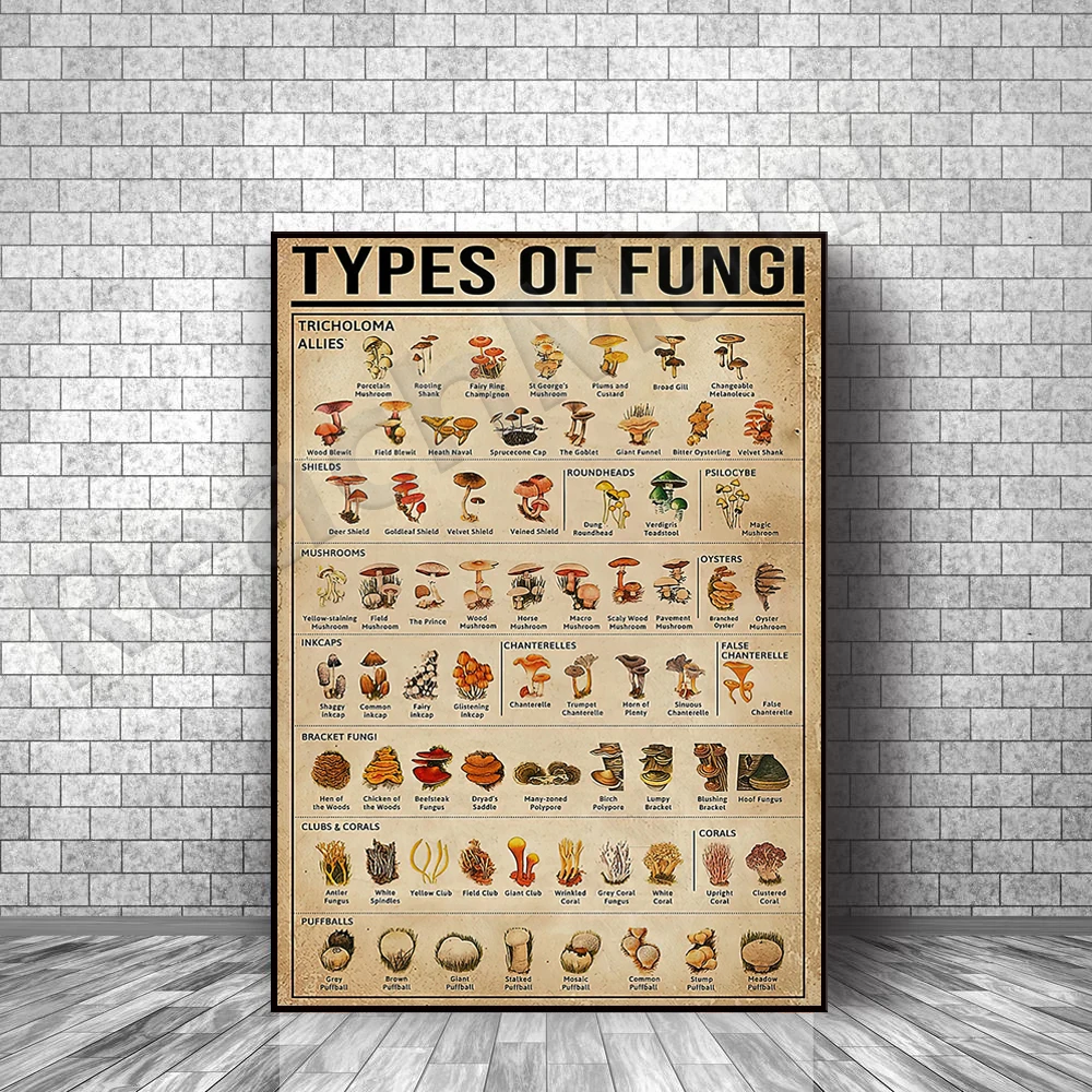 Tipos-de-cartaz-de-fungos-poster-de-conhecimento-de-plantas-decora-o-do ...