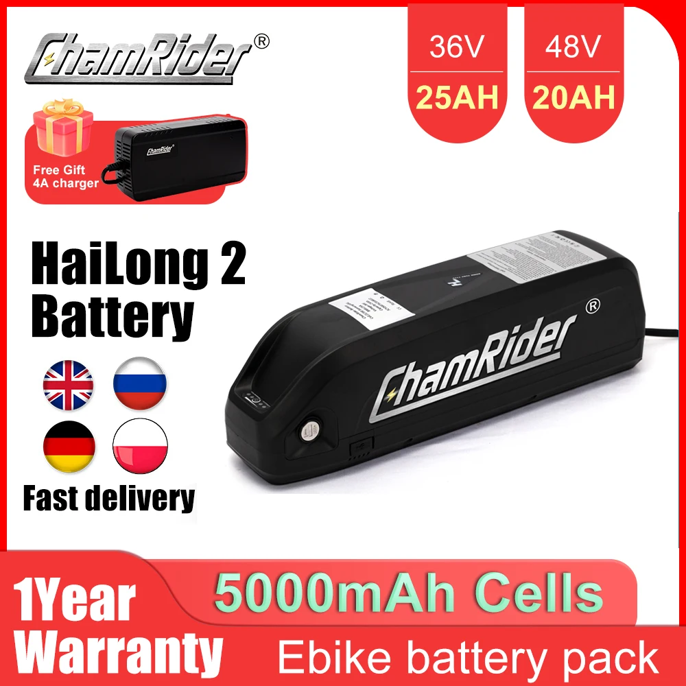 Original-Chamrider-Hailong-2-Ebike-Battery-48V-20-AH-Lithium-Battery ...