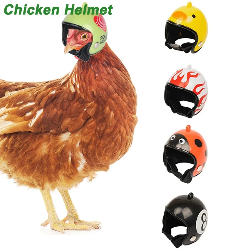 1pcs-Chicken-Helmet-Fuuny-Hat-Hen-Pet-Protective-Gear-Sunscreen-Rain ...