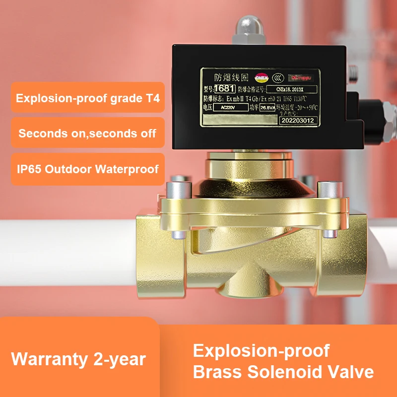 Explosion-proof-Electric-Solenoid-Valve-Brass-Normally-Closed-Female ...