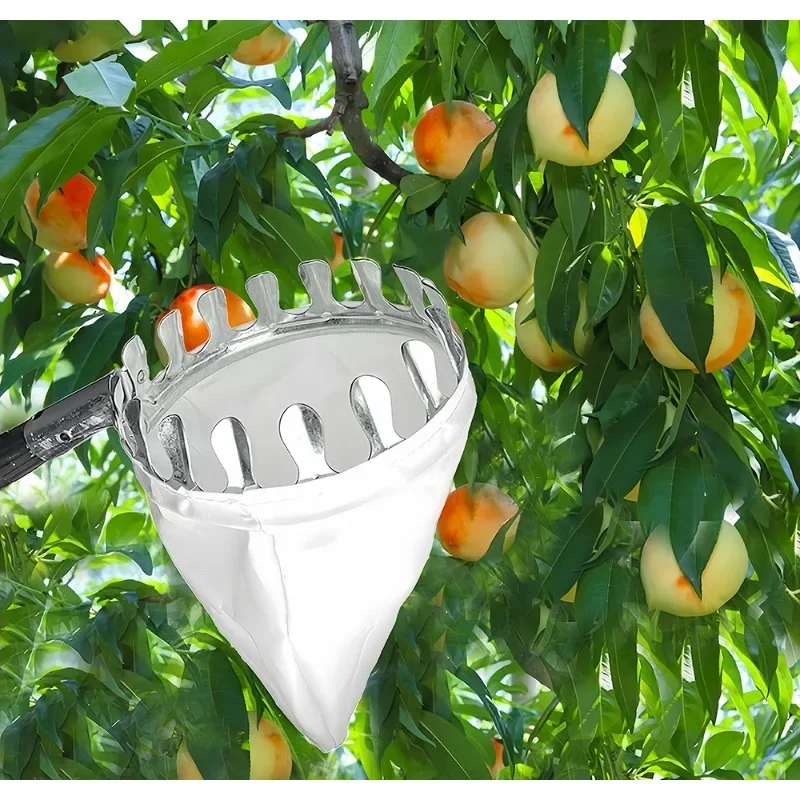 Cherry Picking Tool COCONUT Fruit Picker Tool, Fruit Picker Pole With ...