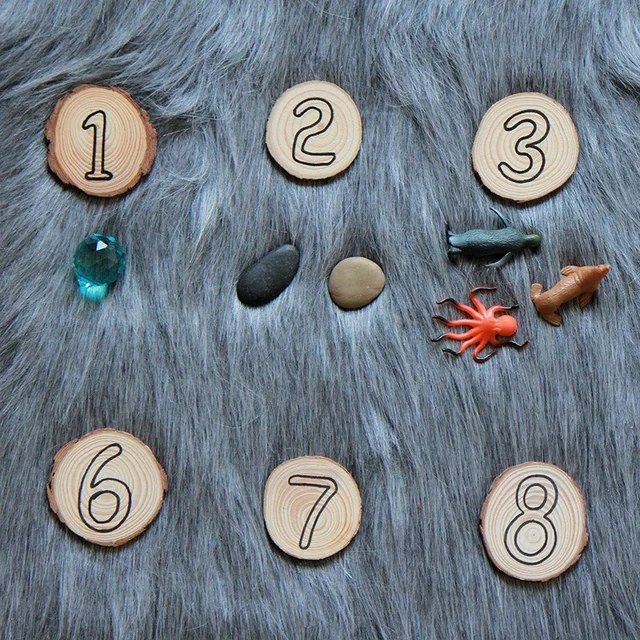 Thinker Tray Marine Life Box Montessori Toys Open Material Learning ...