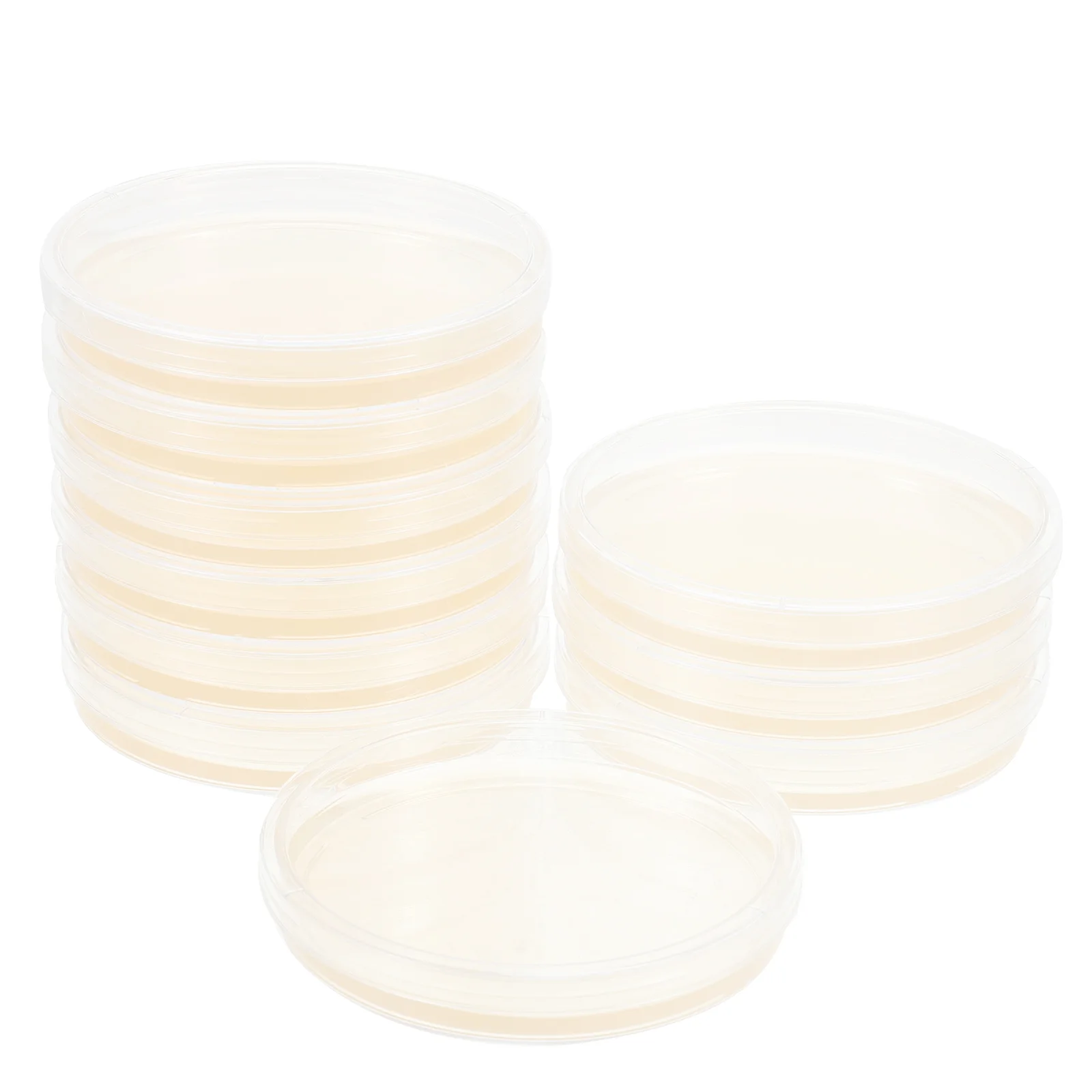 Agar-Petri-Dishes-Tissue-Culture-Prepoured-Agar-Plates-Plate-Agar ...