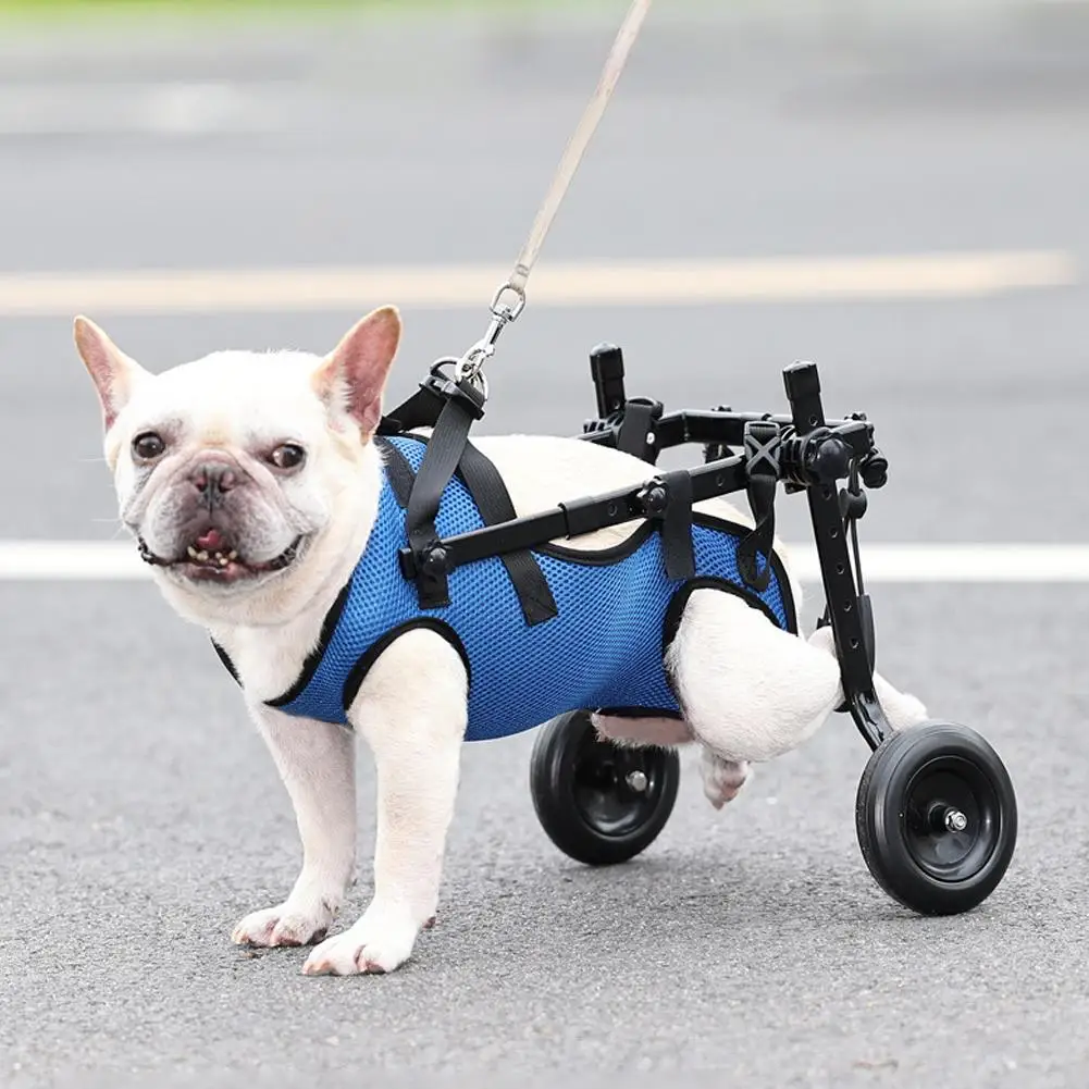 Wheelchair For Cat Disabled Big Puppy Hind Limb Booster Pet Cart Cat ...