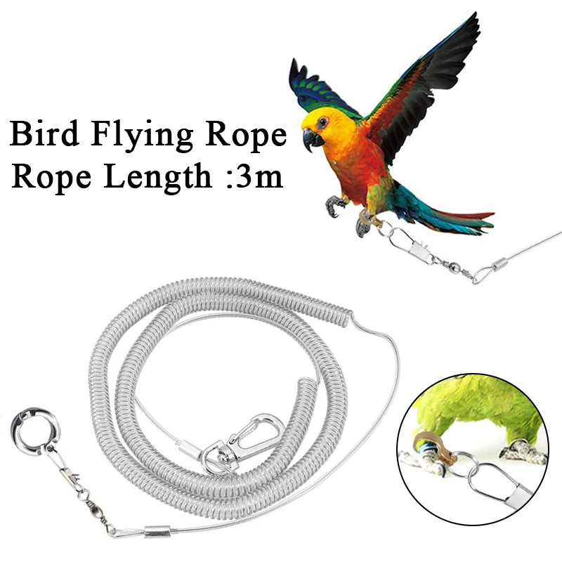3M Parrot Starling Bird Leash Alloy Leg Ring Flexible Bird Chain Belt ...