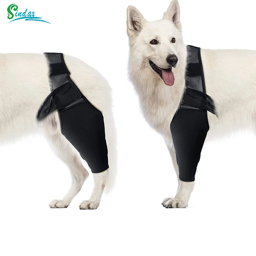 Pet Dog Knee Brace For Joint Pain Muscle Sore Leg Brace Rear Leg Bracer ...