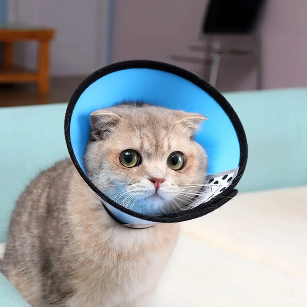 Circle-Cat-Dog-Funnel-Neck-Cover-Neck-Cone-Wound-Healing-Pet-Collar-Pet ...