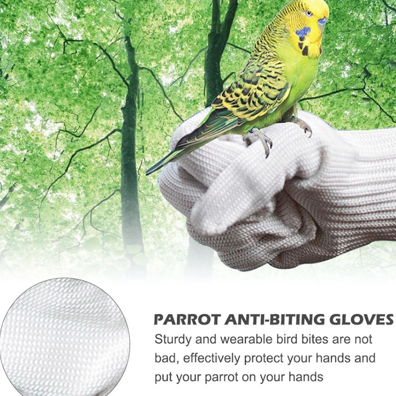 Parrot Anti-bite Gloves | That's So Fetch!