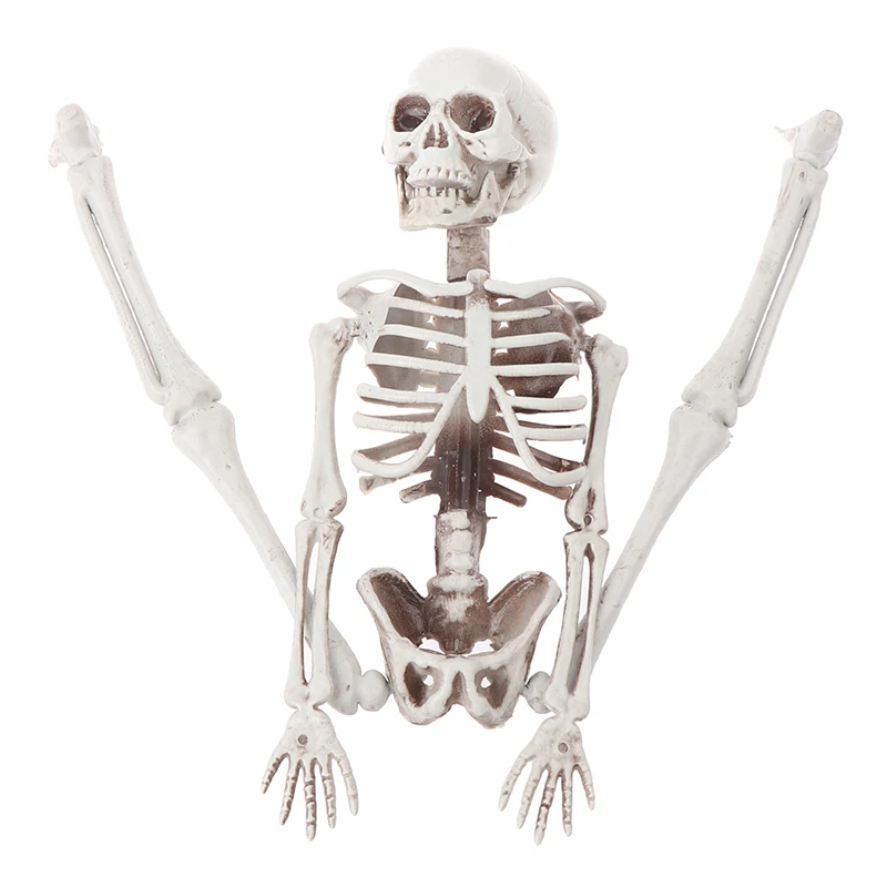 40cm-Halloween-Tricky-Props-Horror-Skeleton-Skeleton-Scene-Decoration ...