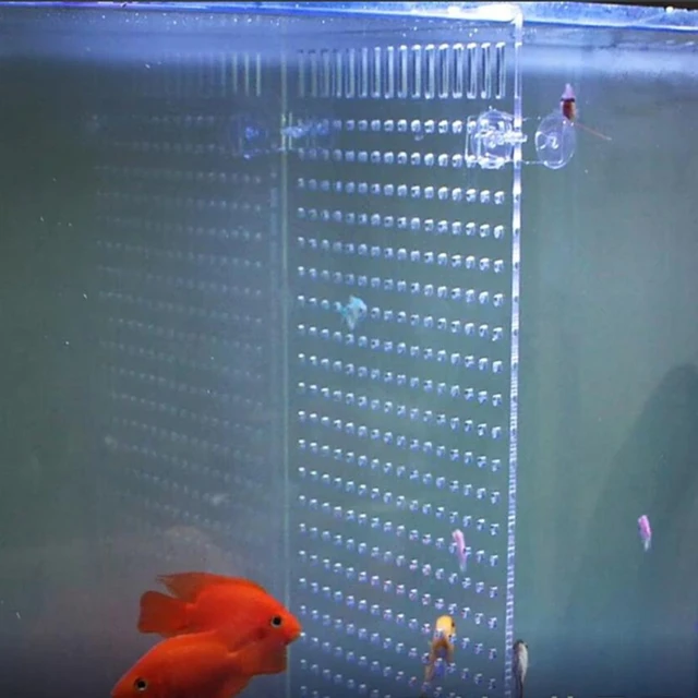 Fish Separator For Aquarium Aquarium Suction Cup Separators - 20 Pack ...