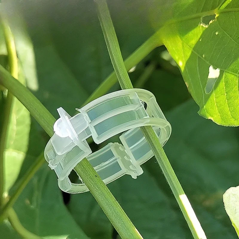 50pcs-Gardening-Plant-Fixed-Clip-Tomato-Grafting-Clip-Binding-Vine-Clip ...
