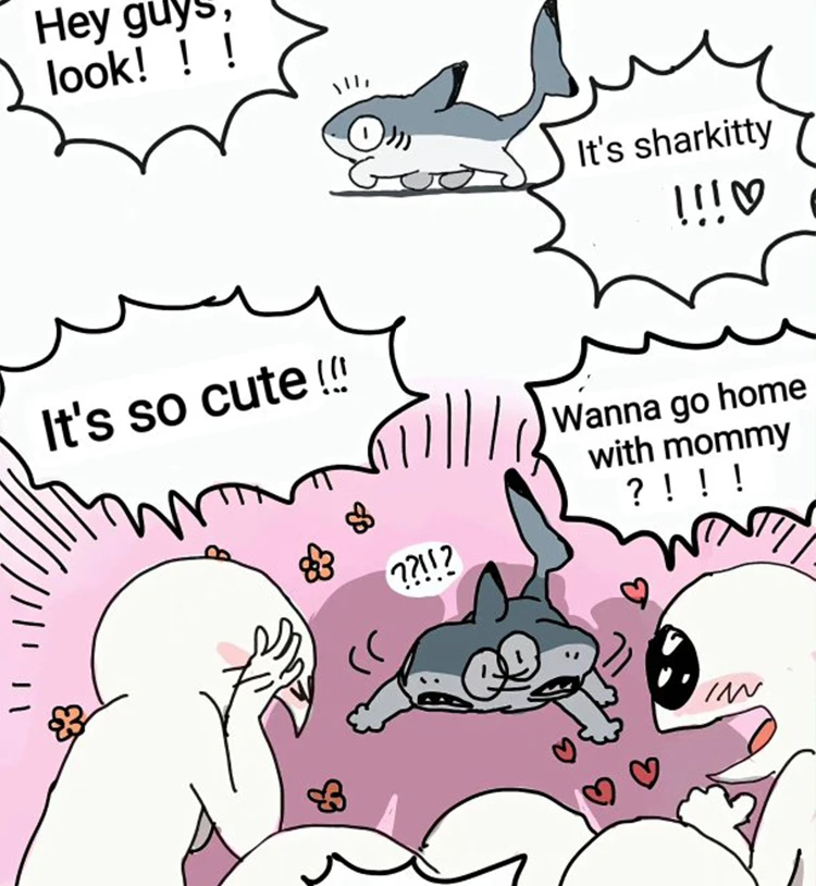 Hey guys! Sharkitty is coming!