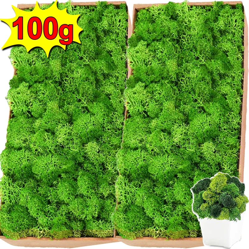 100-50-30g-Artificial-Green-Moss-Plants-Eternal-Life-Moss-Grass-Potted ...