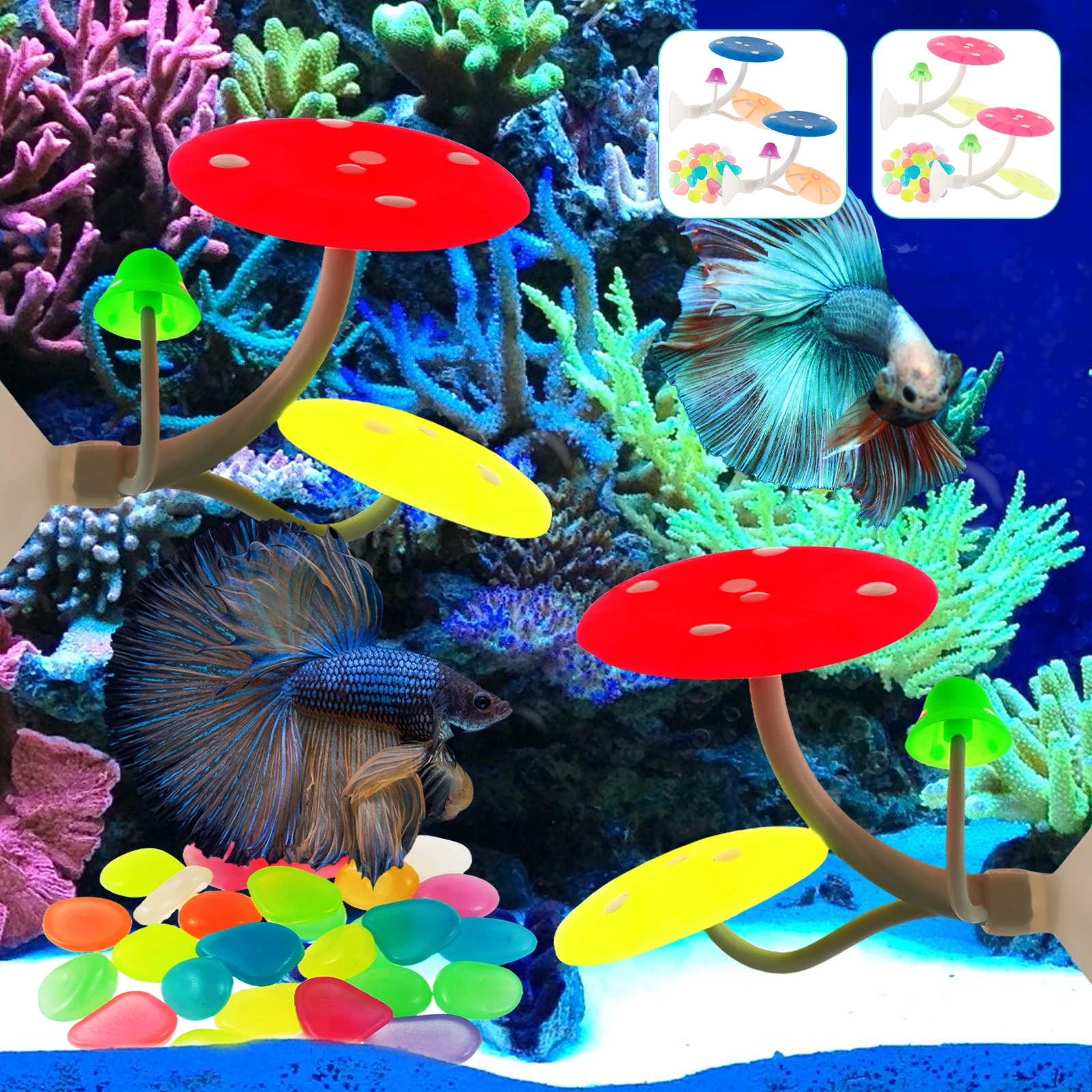 Store Home Products Feedback