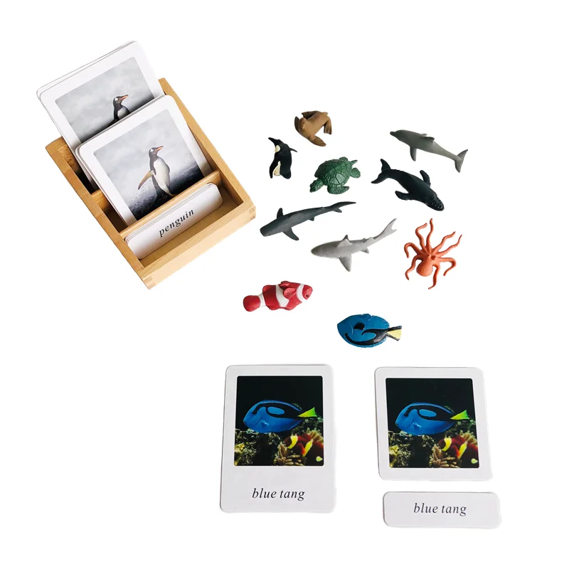 Montessori 3 Part Cards of Ocean Animals Biology Learning Tools ...