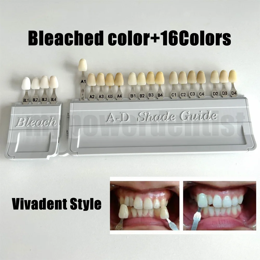 Dental-Teeth-Shade-Guide-Porcelain-20Color-A-D-Tooth-4-Bleach-Vivadent ...