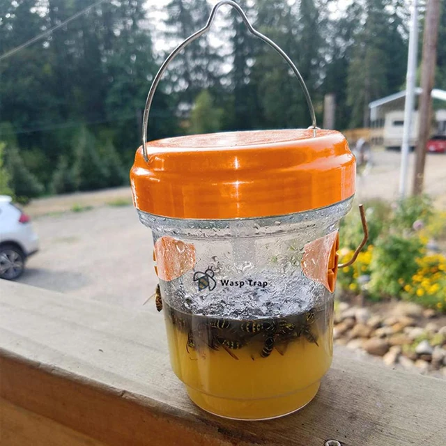 Wasp Trap Bait