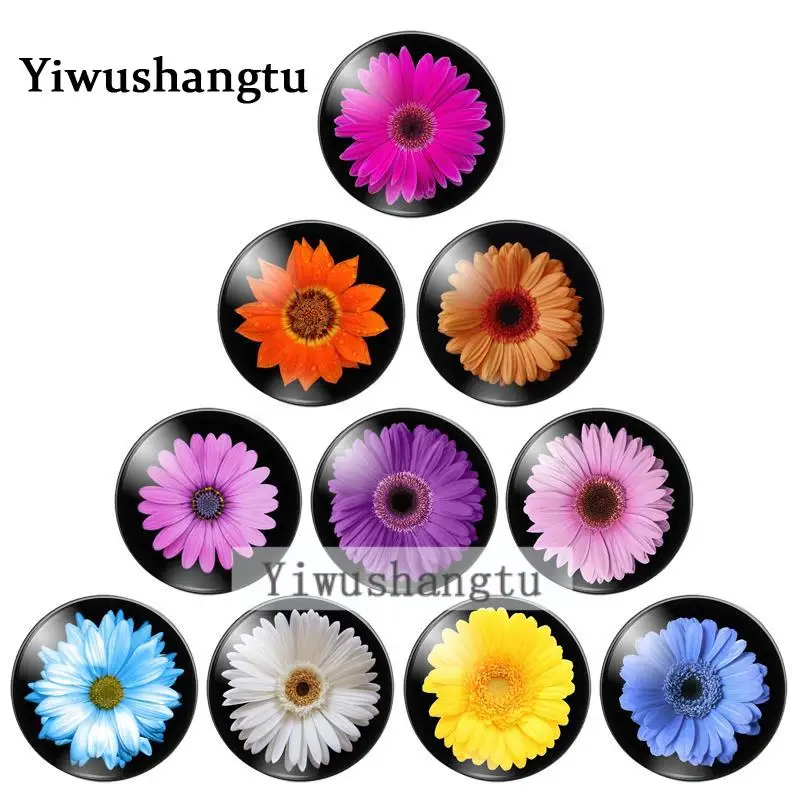 New-a-Chrysanthemum-coloured-drawing-12mm-20mm-25mm-30mm-Round-photo ...