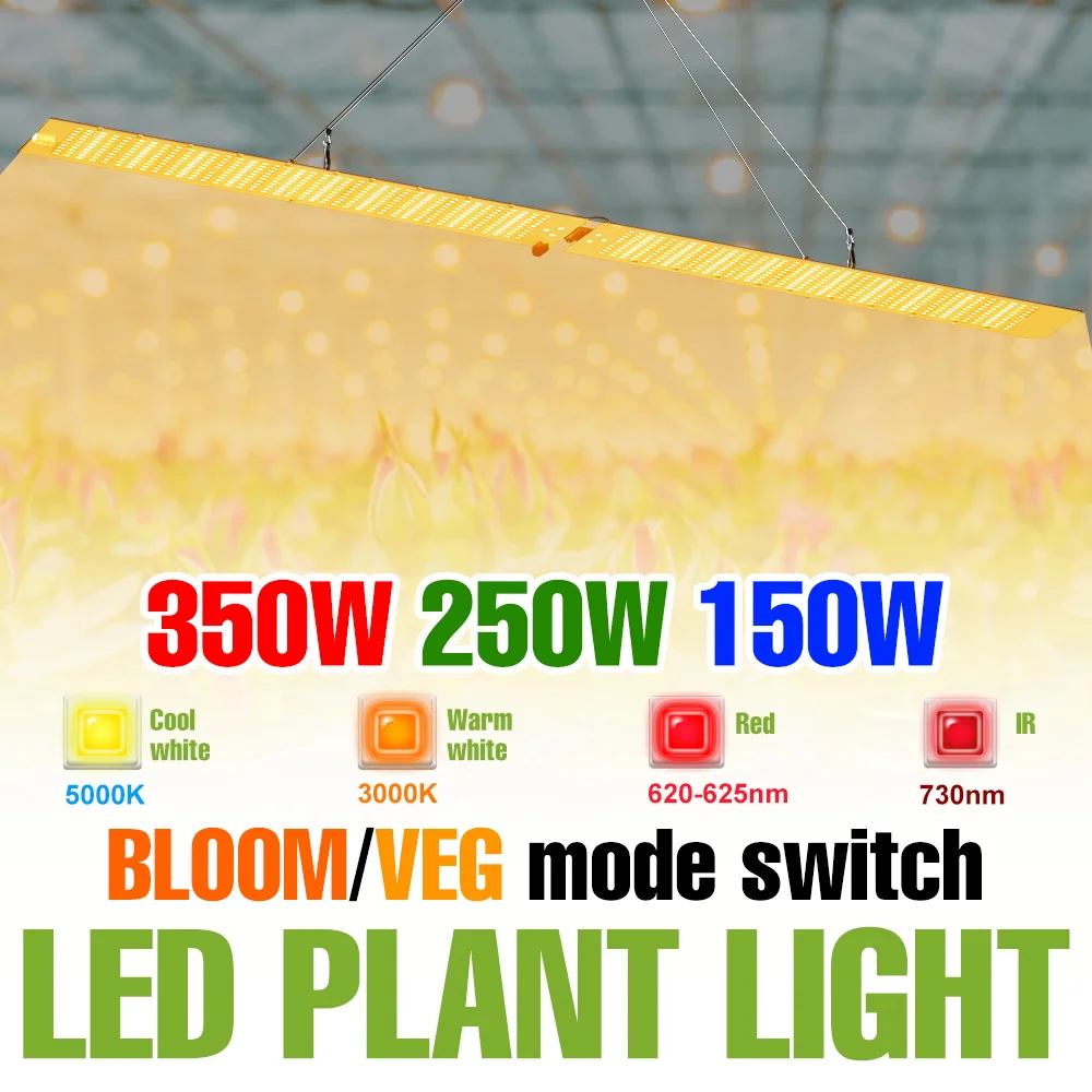 S918741cc2bcf472098d7f00d40a895dcB.jpg