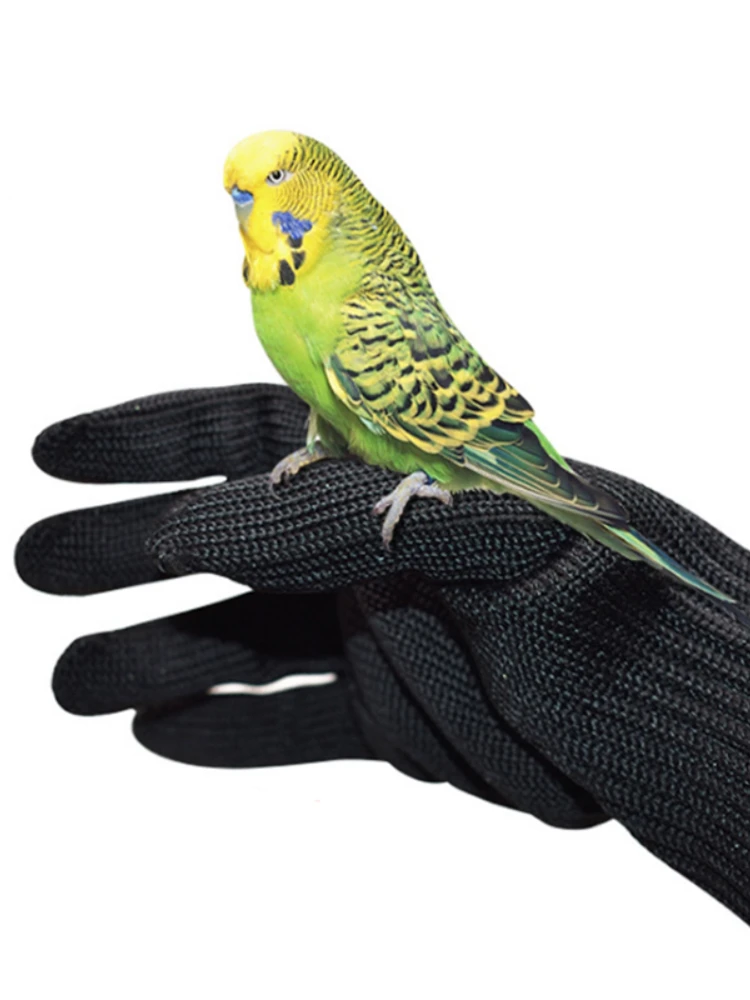 Parrot Anti-bite Gloves | That's So Fetch!