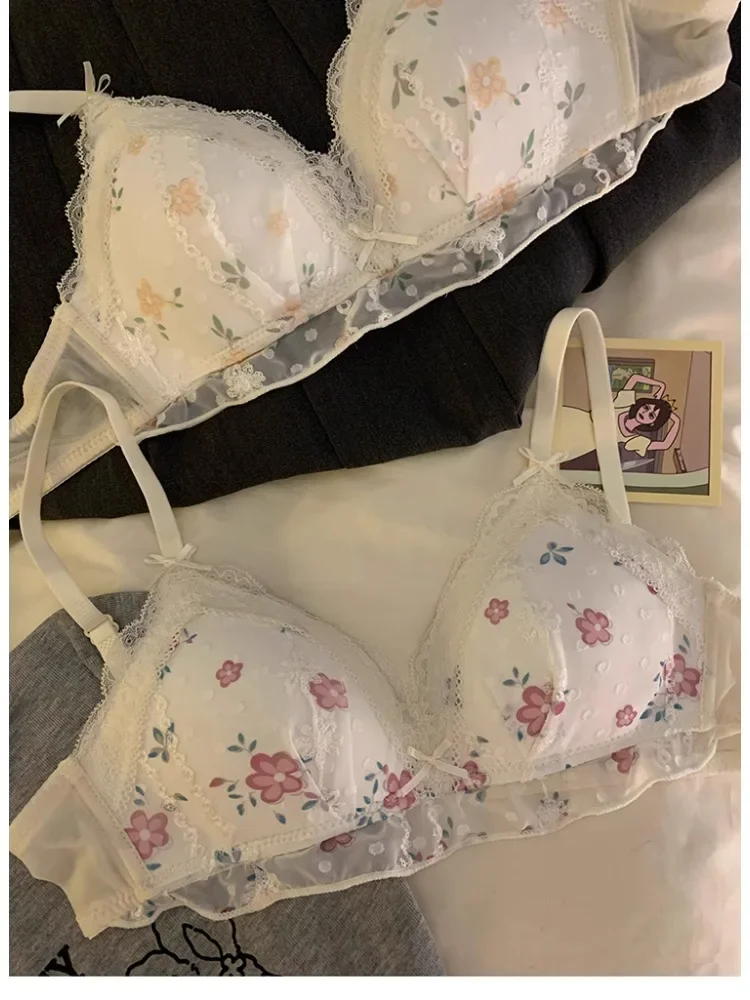 BANERDANNI French Floral Underwear Women's Small Breasts Gather ...