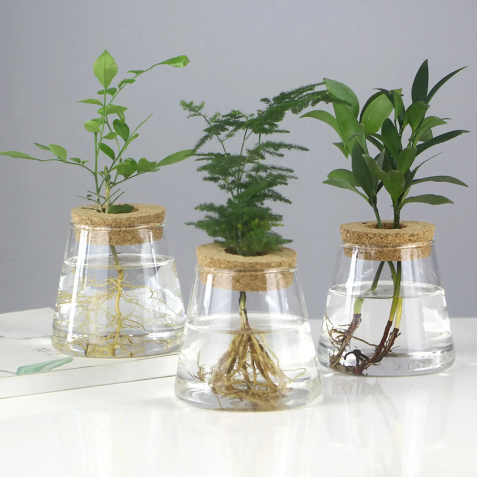 Mini-Hydroponic-Flower-Pot-Glass-Plant-Vase-Transparent-Terrarium-Glass ...