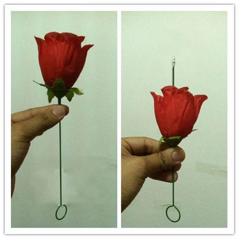 Automatic-Torch-To-Flower-Torch-To-Rose-Fire-Magic-Trick-Flame ...