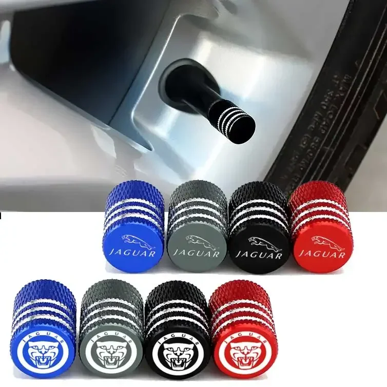 Bike Tire Valve Stem Types: A Complete Guide to Choosing the Right One ...