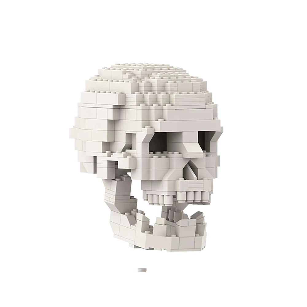 MOC-41161-Human-s-Skull-Brain-Building-Blocks-Scientific-Simulation ...