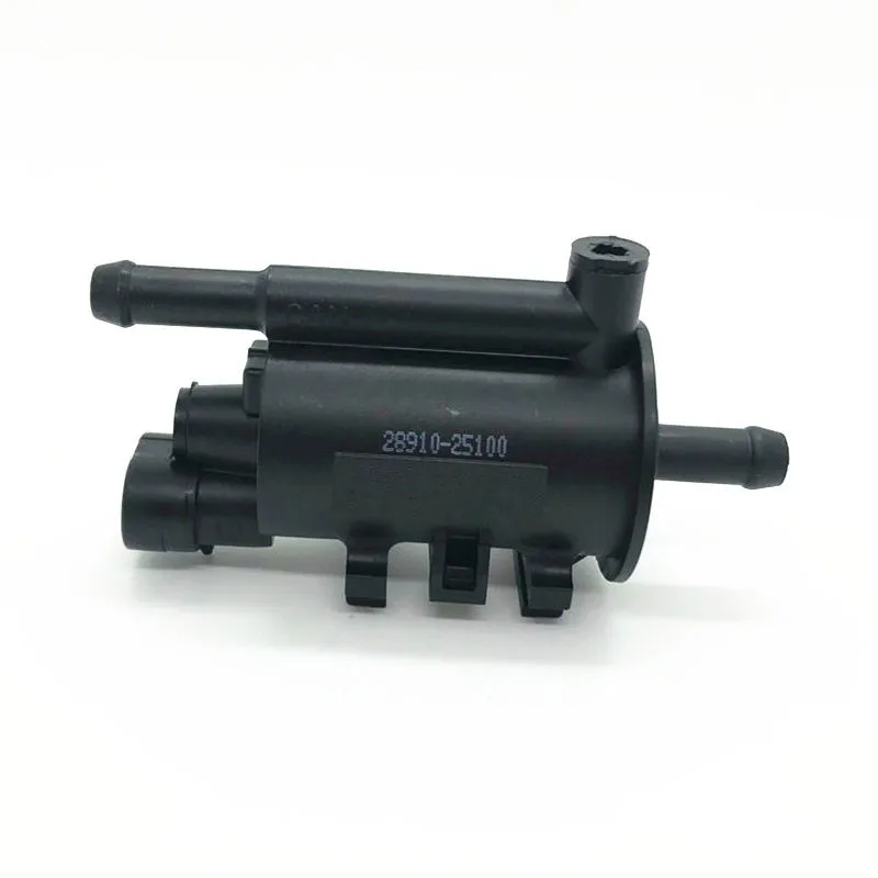 2891025100-Vapor-Canister-Purge-Control-Valve-Fits-Kia-Rondo-Carens ...
