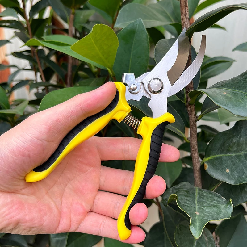 Garden Scissors for Bonsai Professional Pruning Trees Orchard Grape ...