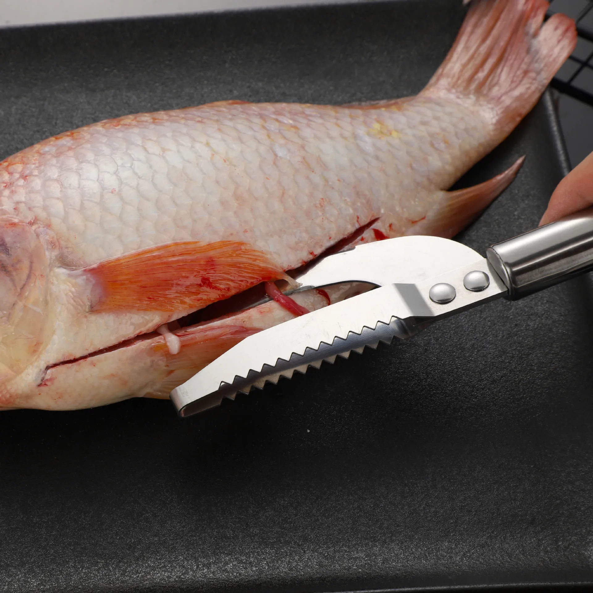 Fish Scales Scraping Stainless Steel Kitchen Fish Cleaning Knife Cutter ...