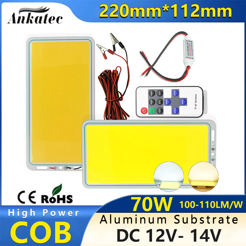 New High Power 70w Dc 12vled Cob Face Light Source Panel 220*112mm For ...