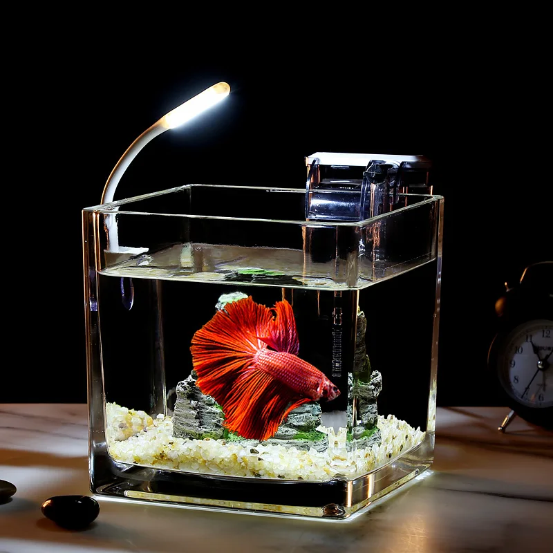 Plants Glass Fish Bowl Small Modern Turtle Jellyfish Shrimp Japan ...