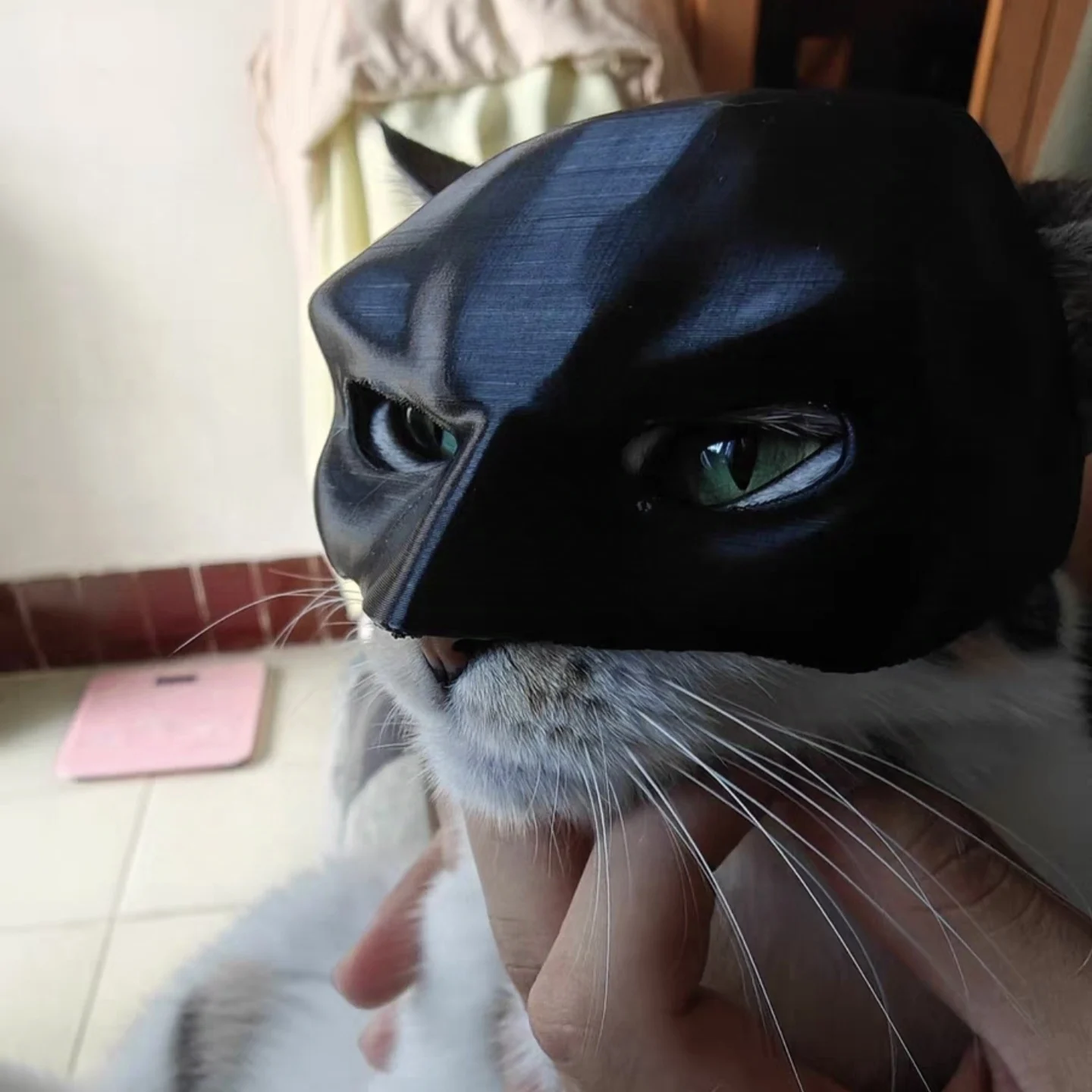New Batman Cos Mask For Pet Cat Puppy 3d Printing Cosplay Costumes ...