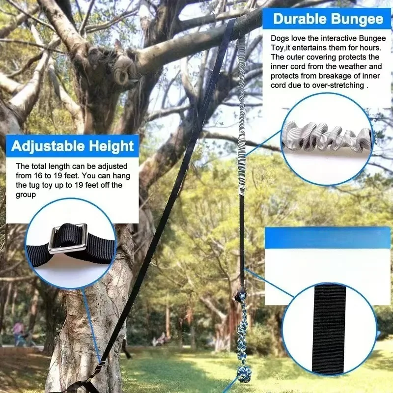 Everything You Need to Know About Rope Hanging from Tree for Dogs