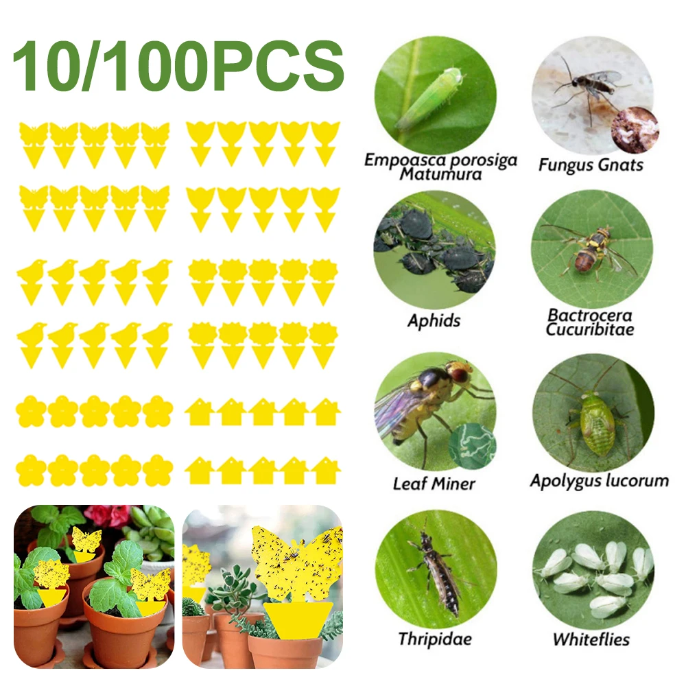 10-100pcs-Sticky-Traps-Home-Greenhouse-Sticky-Board-Multiple-Flying ...