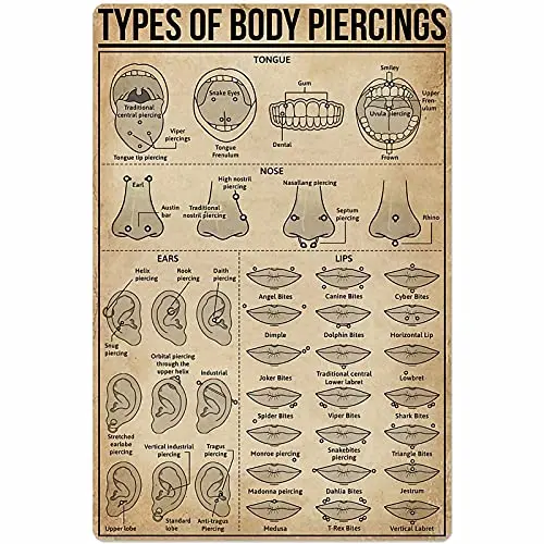 Types Of Body Piercings Chart