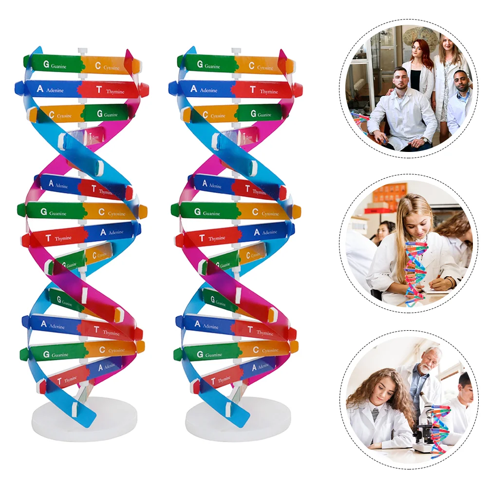 Dna Double Helix Model Png