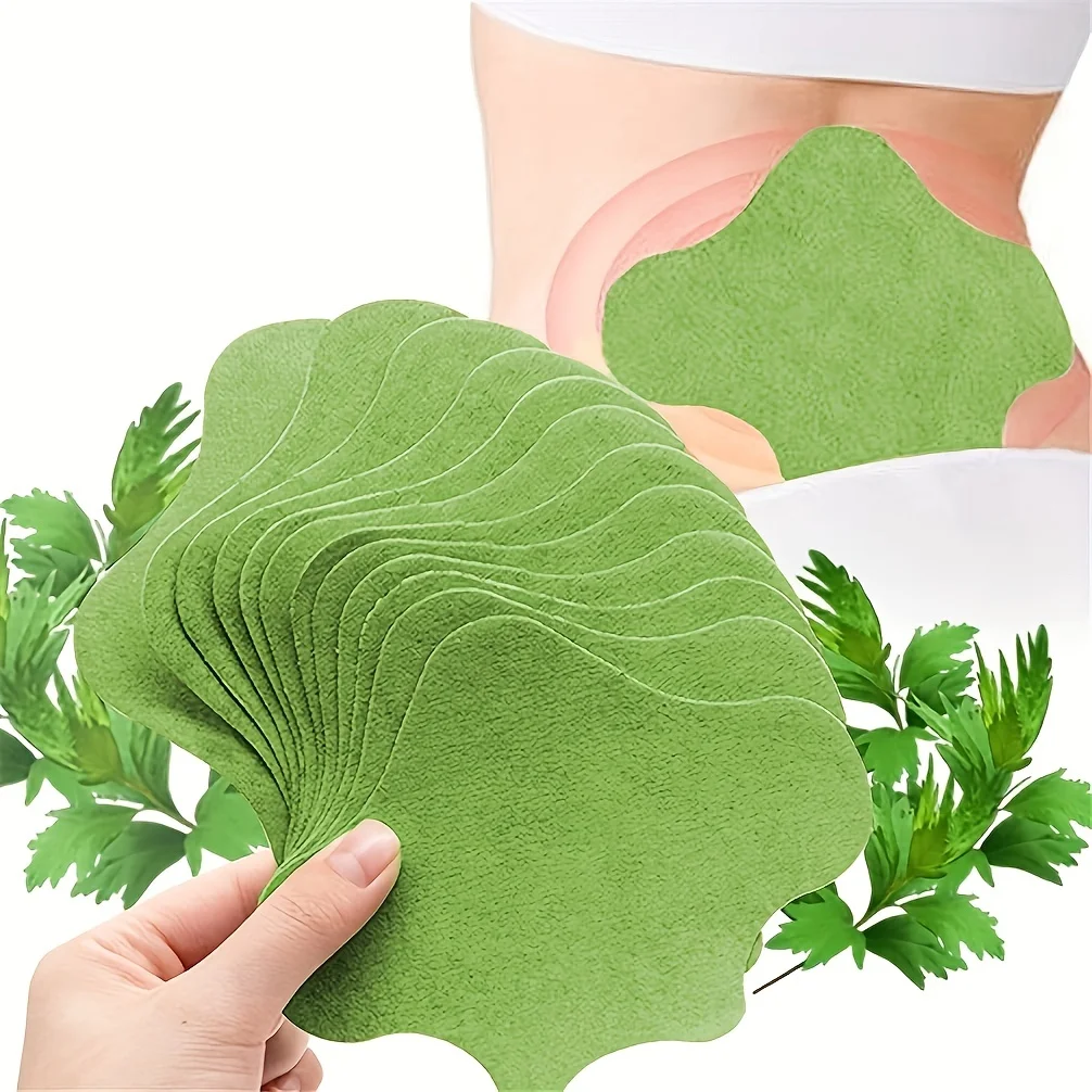 12pcs-Herbal-Heat-Patches-Long-Lasting-for-Arthritis-Inflammation-Back ...