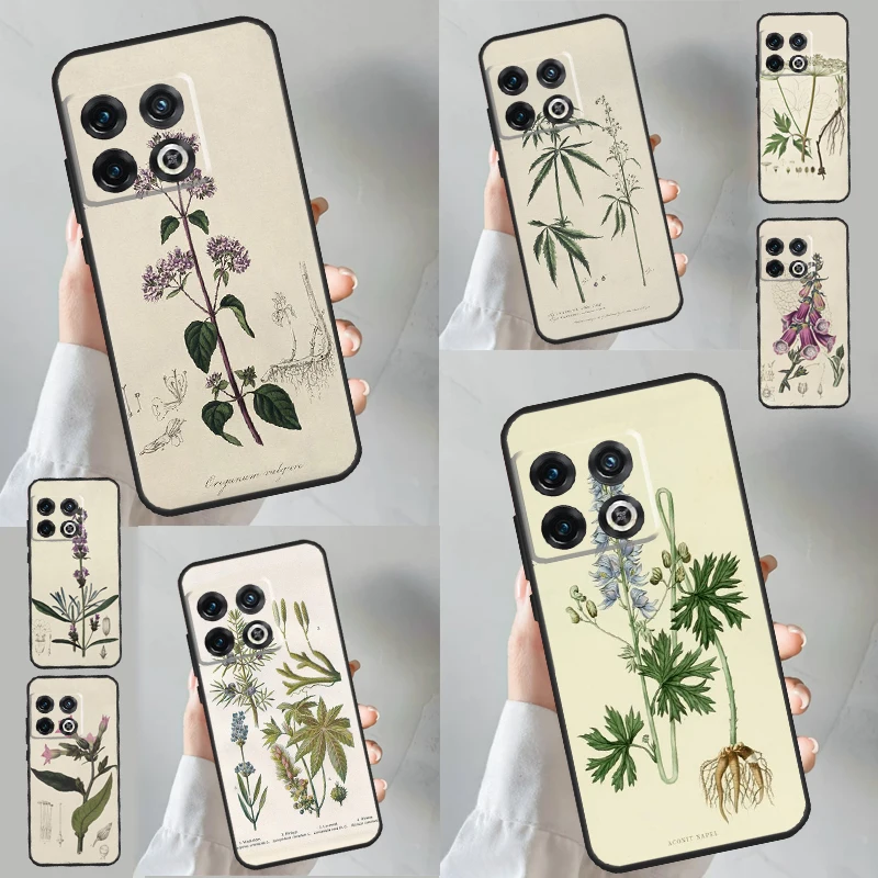 Botanical-Drawings-Flowers-Plants-Case-For-OnePlus-Nord-CE-3-Lite-2-2T ...