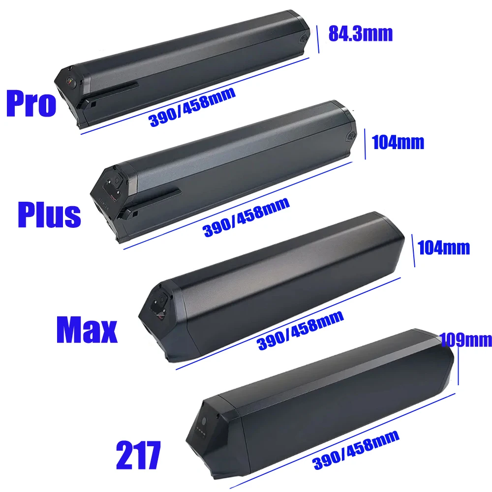 Reention-Dorado-Pro-Plus-Max-36V-48V-ebike-battery-pack-10Ah-12Ah-15Ah ...