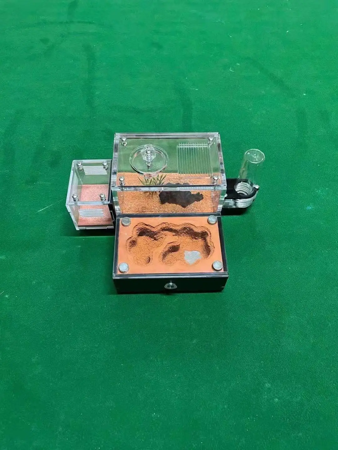 Valeur Fourmilière Ferme à fourmis en acrylique avec aimant externe ...