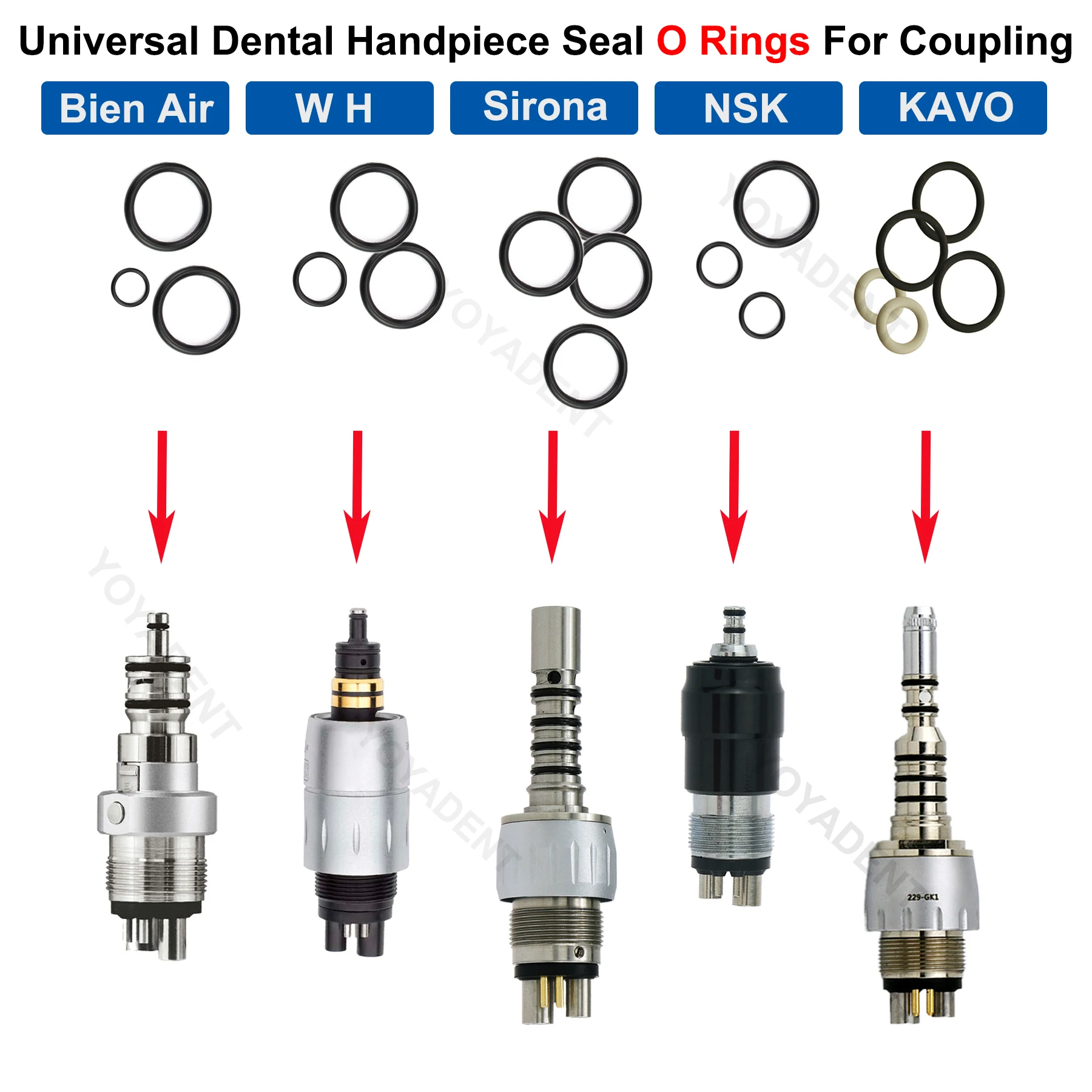 Dental-Handpiece-Coupler-Seal-O-Rings-For-Kavo-Multiflex-NSK-WH-SIRONA ...