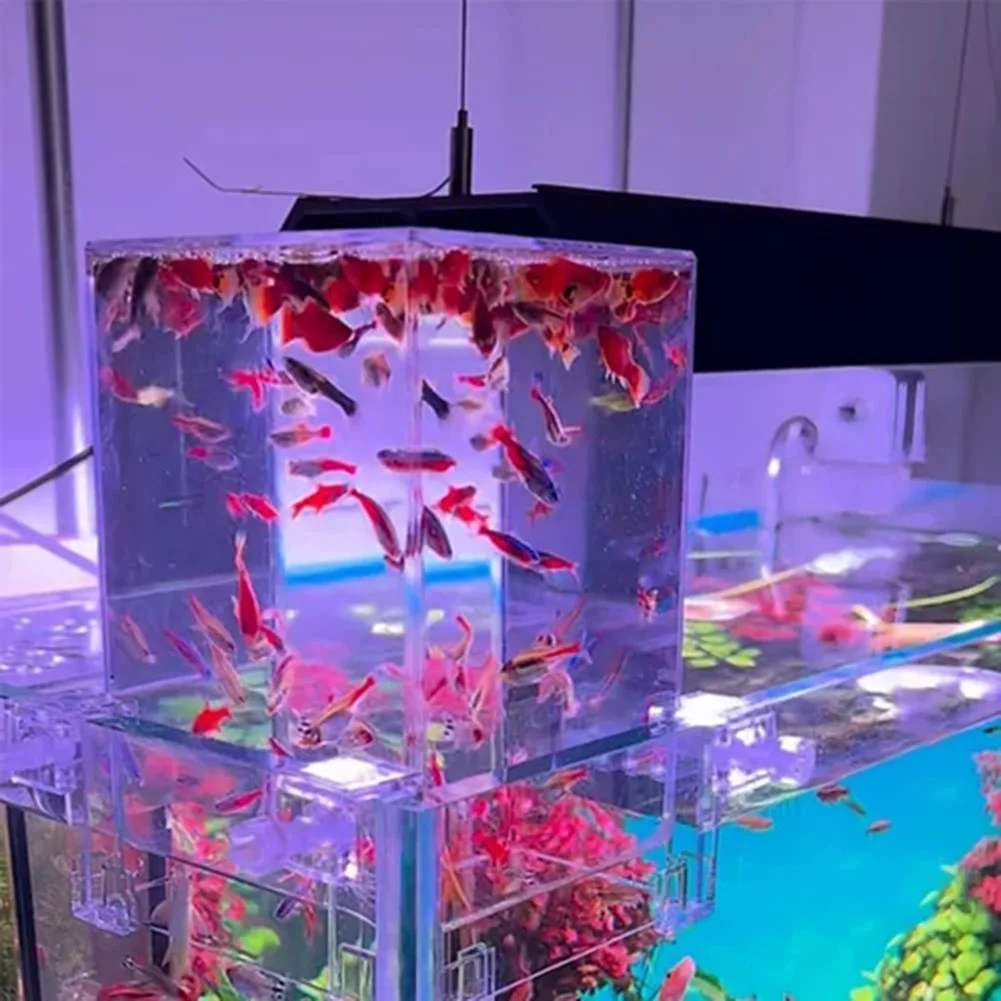 Transparent Acrylic Negative Pressure Fish Tank Practical Fish Tank ...