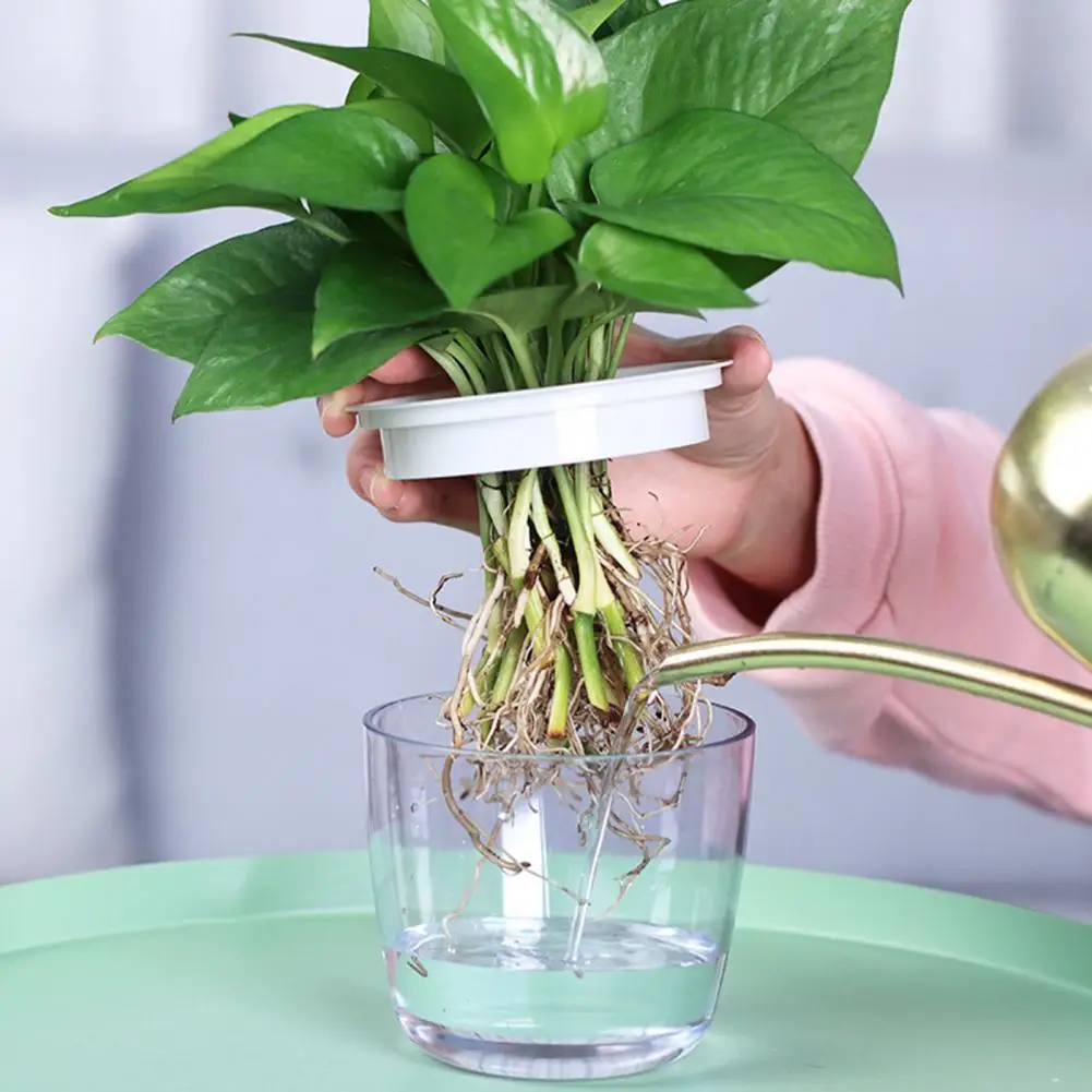 Transparent-Flowerpot-Decorative-Hydroponic-Plant-Pot-Transparent ...