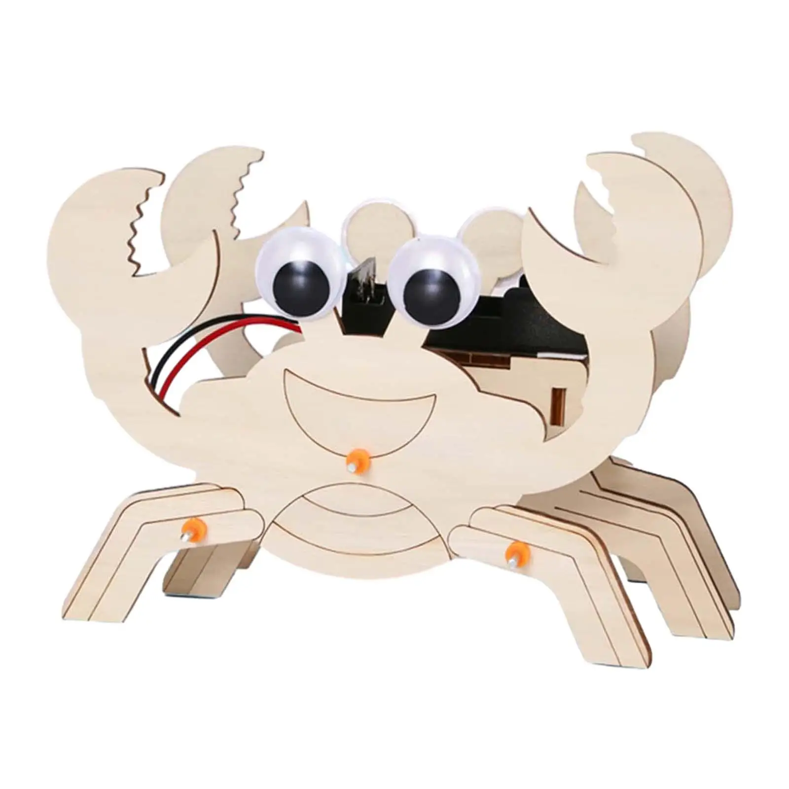 Project-Model-Assembling-Developmental-Science-Experiment-Handcrafted ...