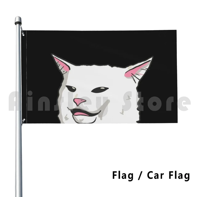 Haters Gonna Hate Cat